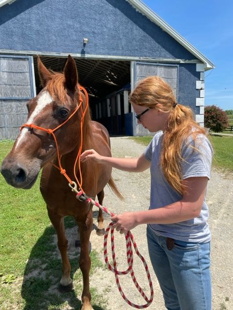 Blaze Uses Kombat Boots