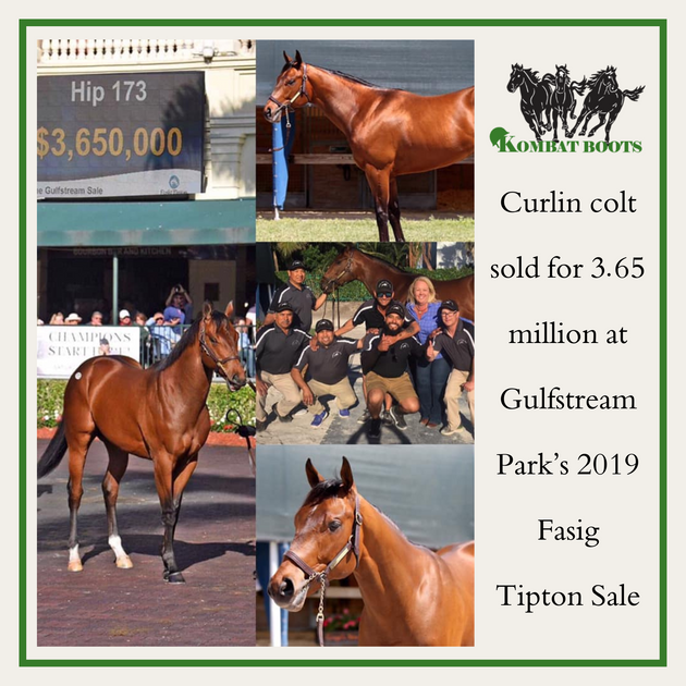 This colt was prepped, trained, and fed Kombat Boots at New Castle Far
