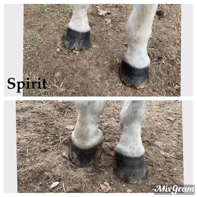 Spirit's Recovery – Kombat Boots